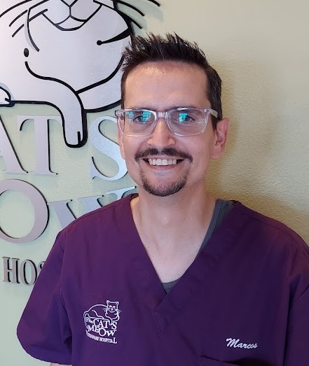 Meet the Team | The Cat's Meow Veterinary Hospital