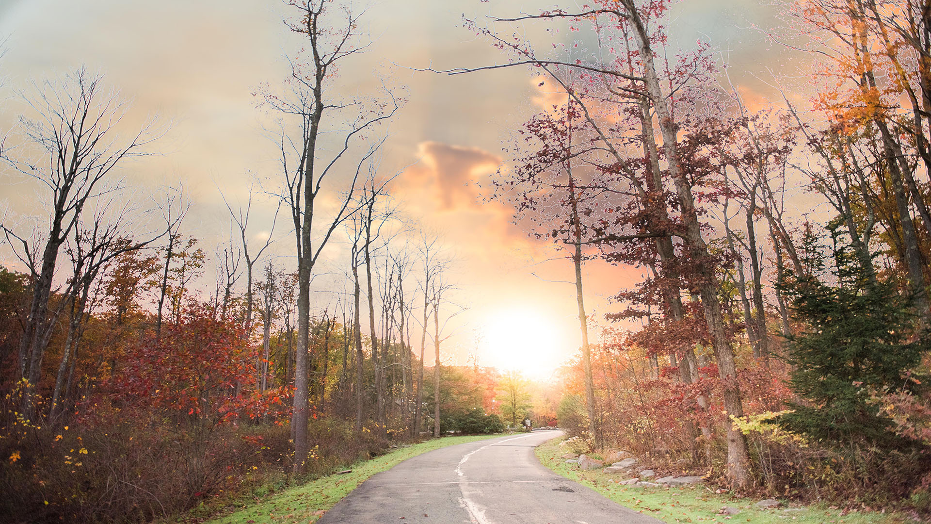 Best of Pittsburgh Suburbs - An Overview | Birgo Insights