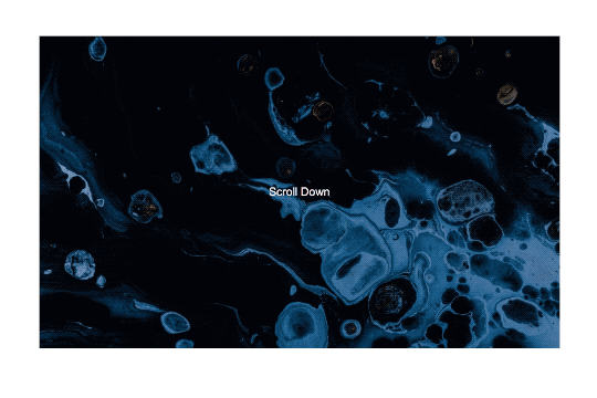 Svg path Webflow