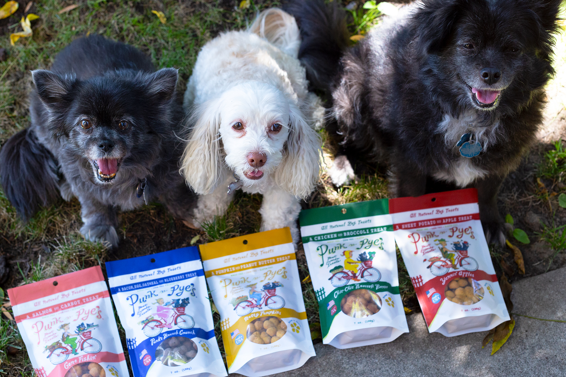 All Natural, Human-Grade Dog Treats | Punk-n-Pye's Best Friends Treats ...
