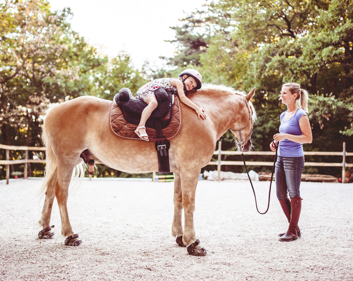 Vining Hill Equestrian Center | Boarding - Lessons - Training - Leasing ...