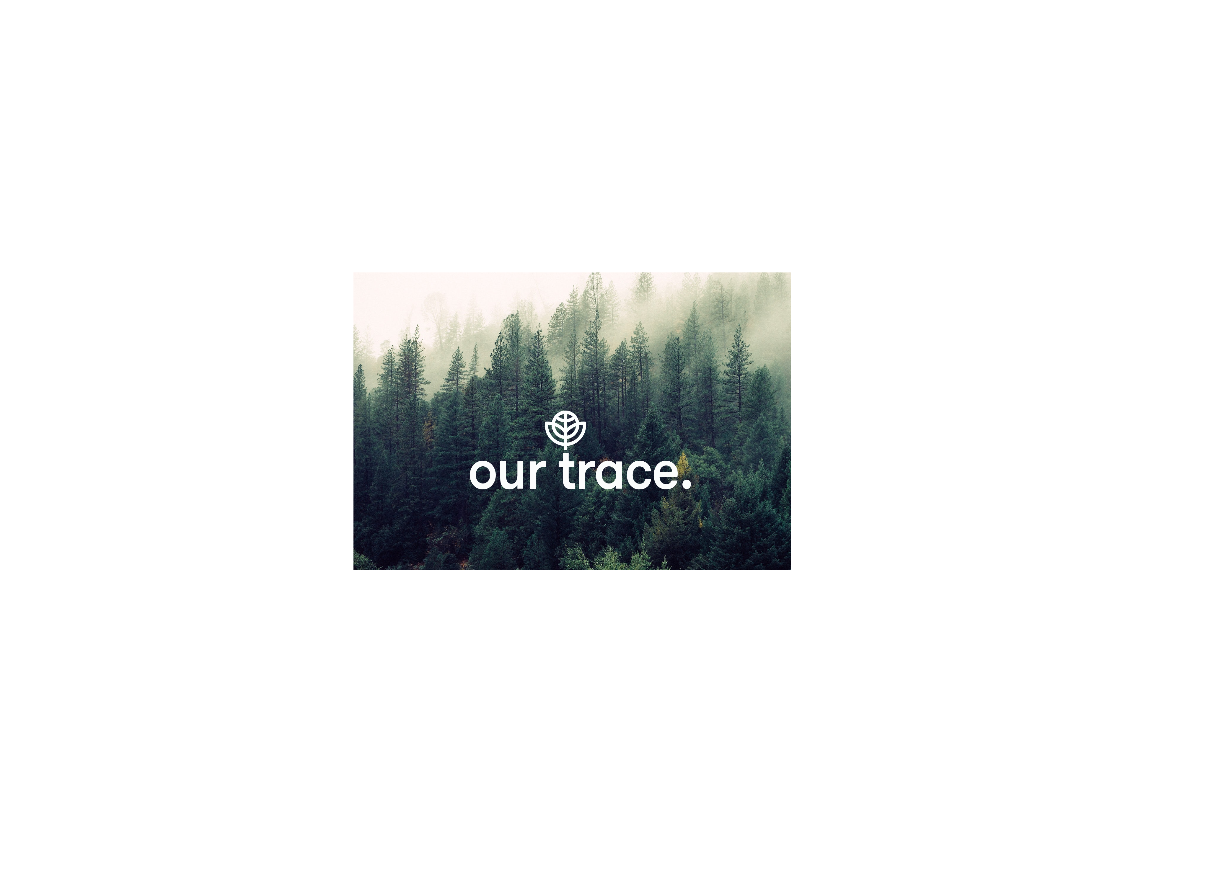 Carbon offset subscription for individuals & businesses