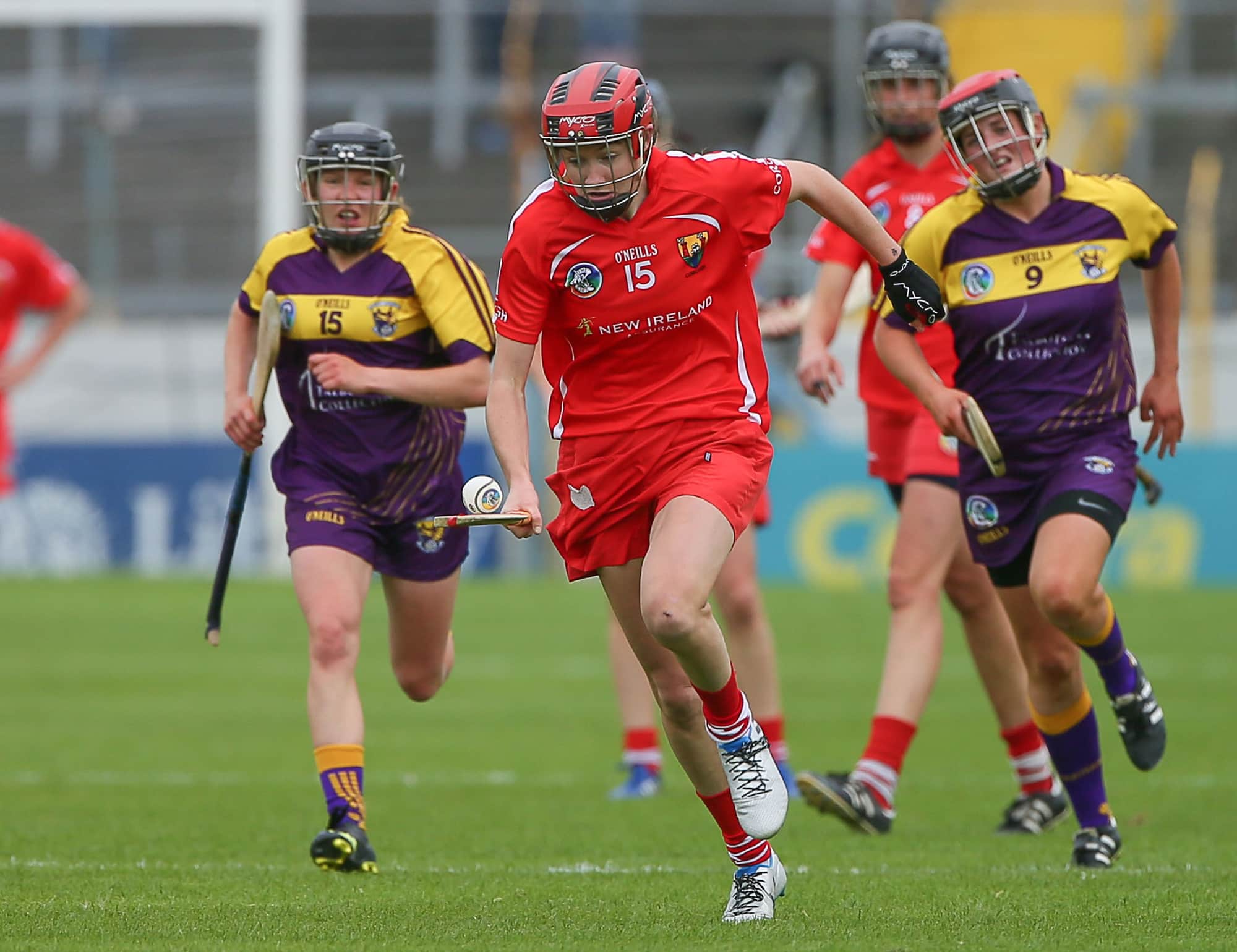 Camogie Performance Analysis Software - Video Analysis