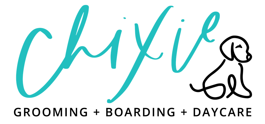 Chixie | Dog Grooming, Dog Boarding & Dog Daycare in Spring, TX