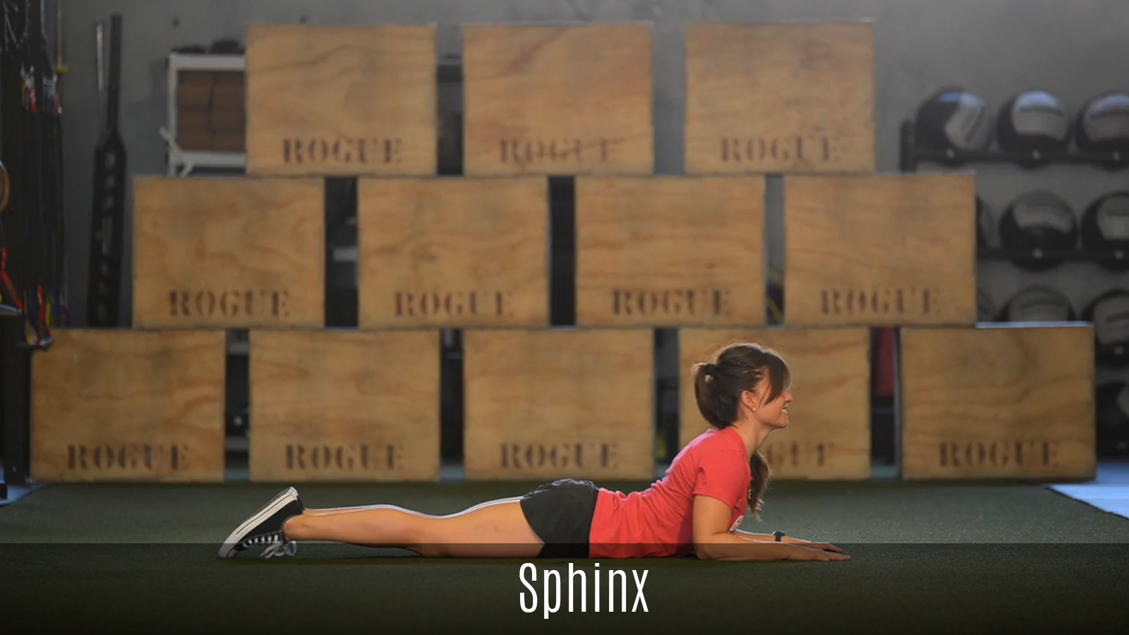 The MoveWell™ Stretching Database | MoveWell™