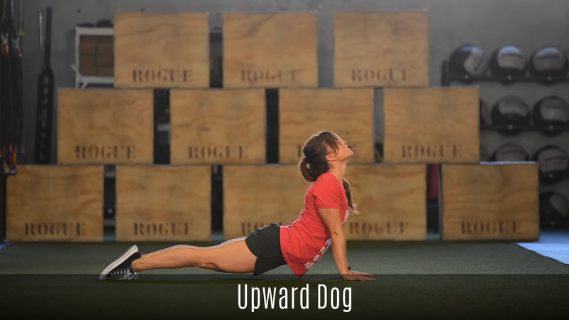 Upward Dog