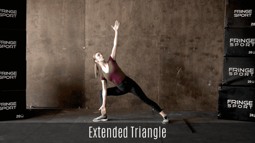 The MoveWell™ Stretching Database | MoveWell™