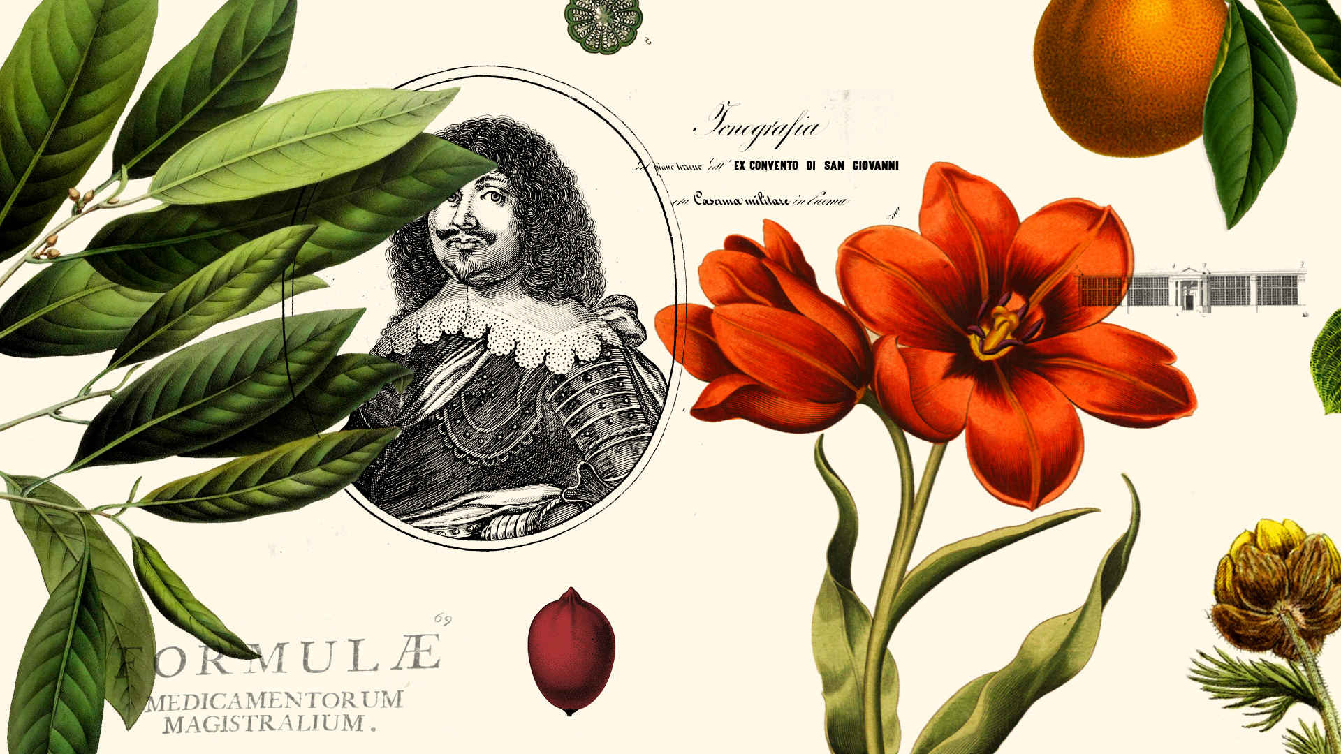 FICO Creative Studio