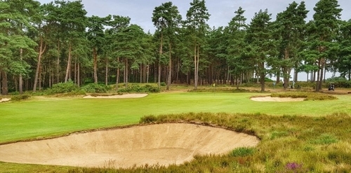 Hankley Common - Golf Course Review | Golf Empire