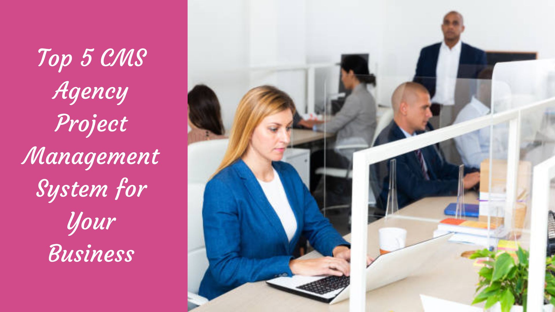 Top 5 CMS Agency Project Management System for Your Business