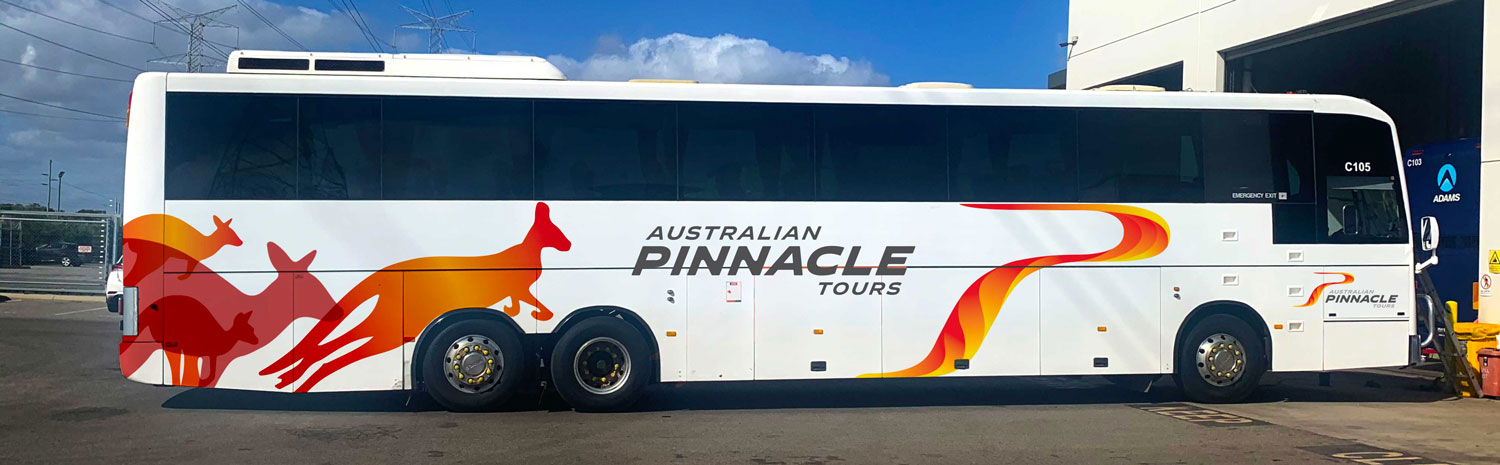 Pinnacle Travel Group branding | Flametree Creative