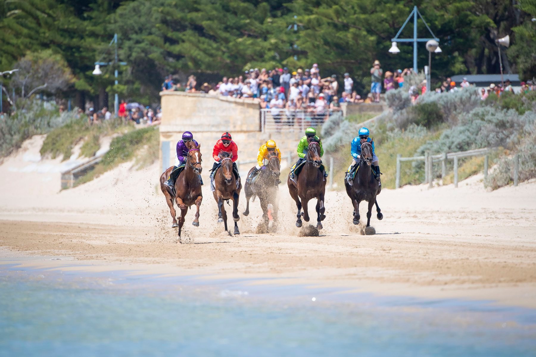 Rockingham Beach Cup | Flametree Creative