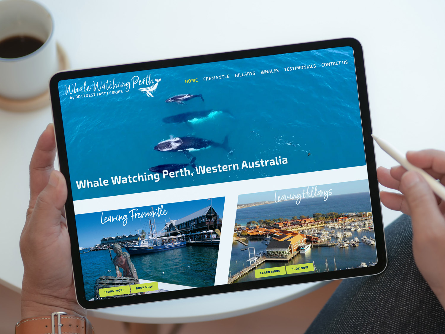 Website design for Whale Watching Perth | Flametree Creative