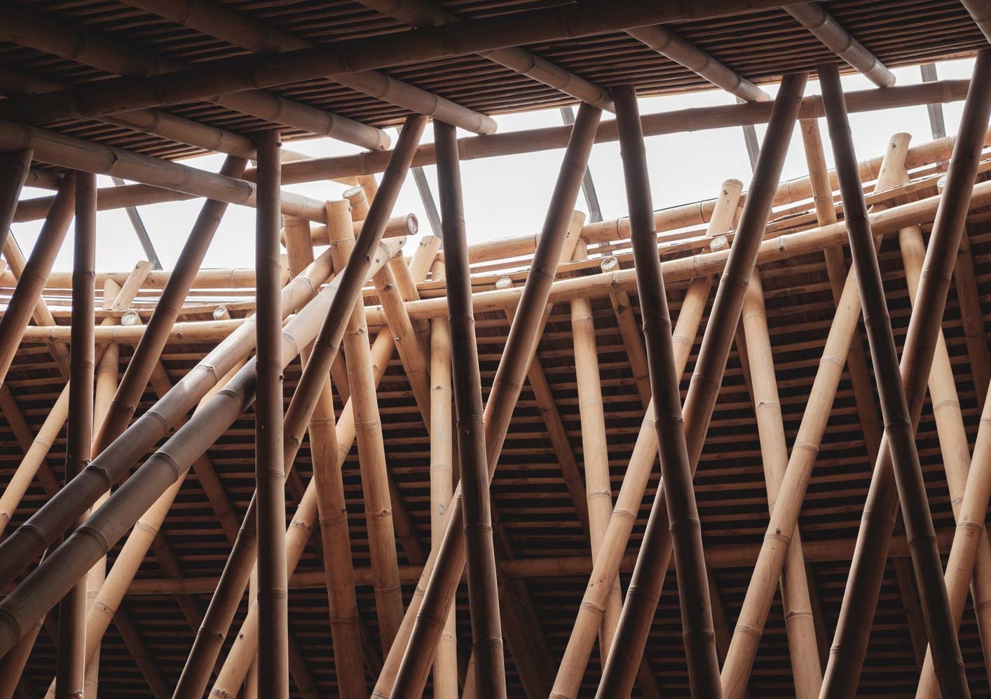 Jörg Stamm | Bamboo Construction, Design, Consulting