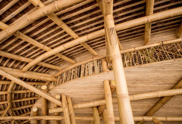 Why Build With Bamboo? | Jorg Stamm