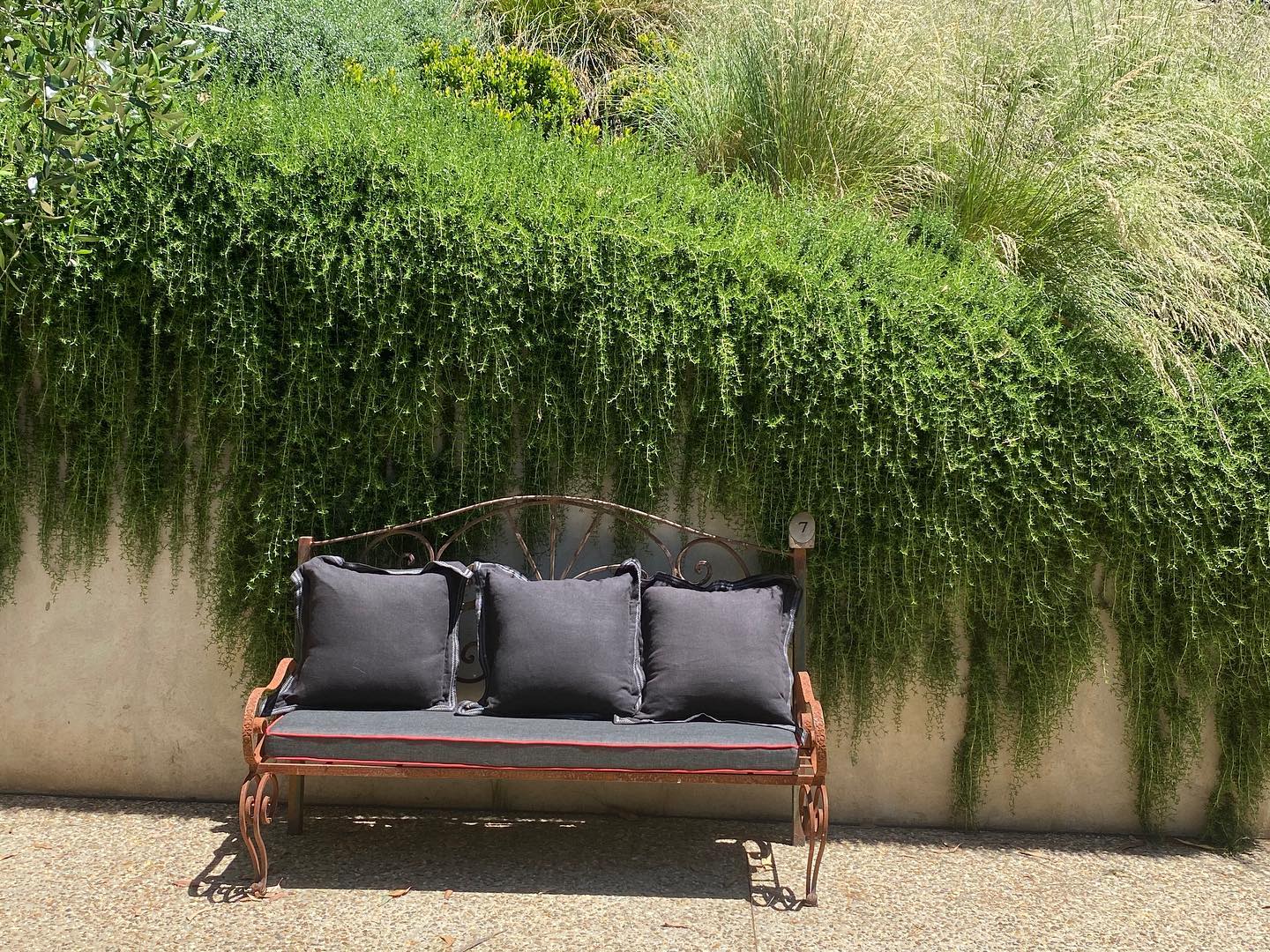 The Before and After - Found Landscapes | Mornington Peninsula ...