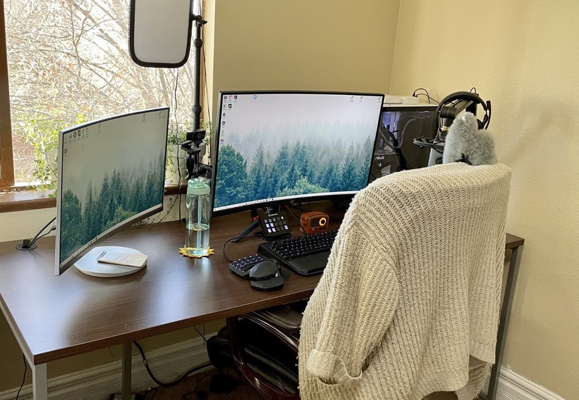 Megasett – A World of Warcraft Streamer Who Found Her Niche & Reached ...