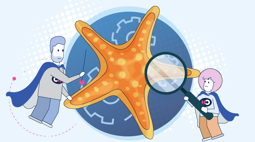 Starfish Retrospective Format