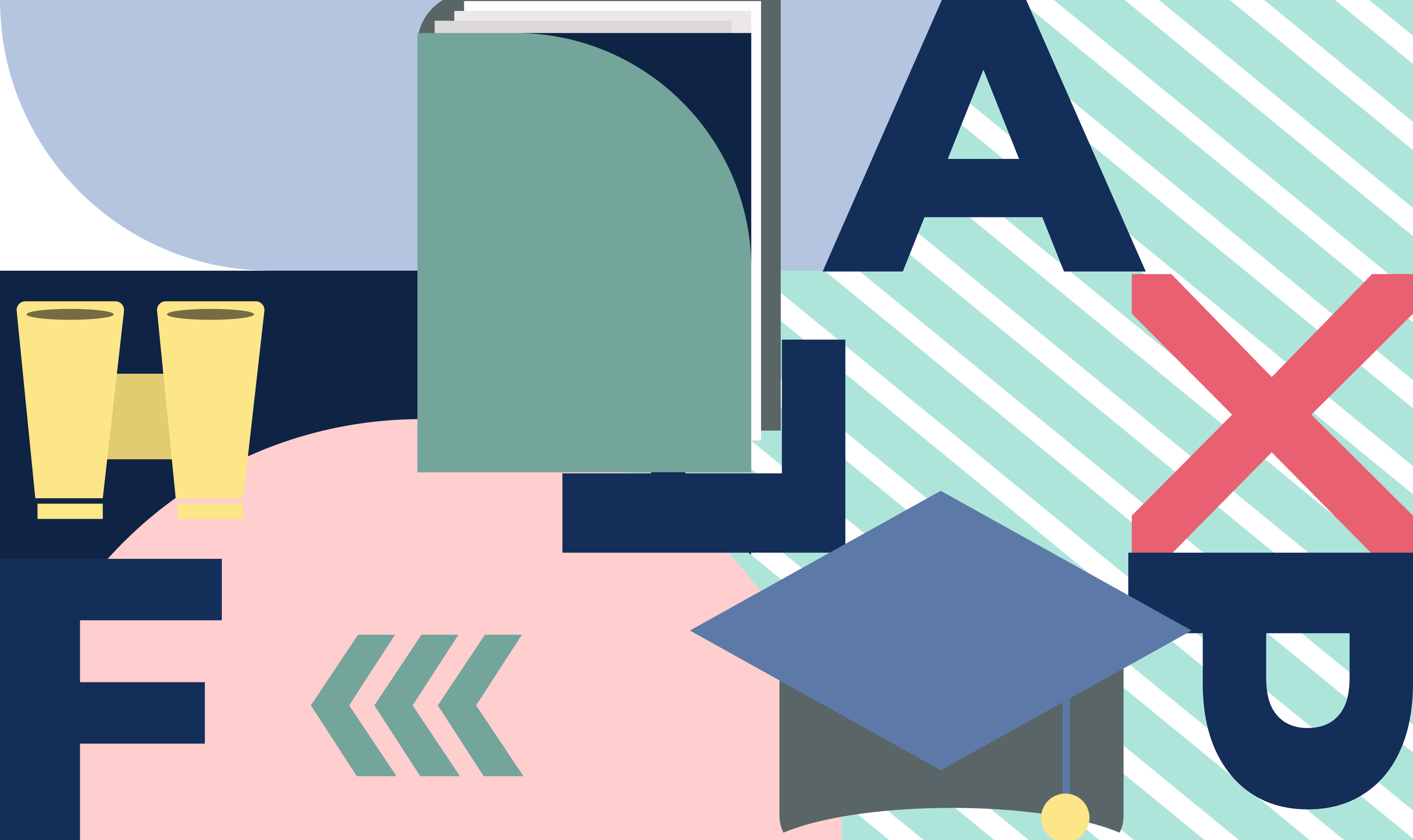 FLAP Retrospective Activity