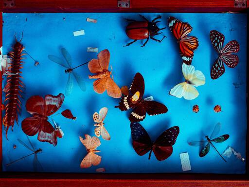 Science & Nature | Fanschool