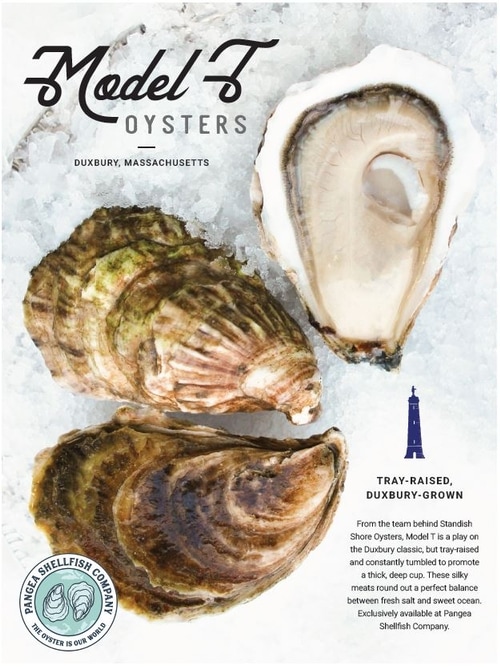 Resources | Pangea Shellfish Company