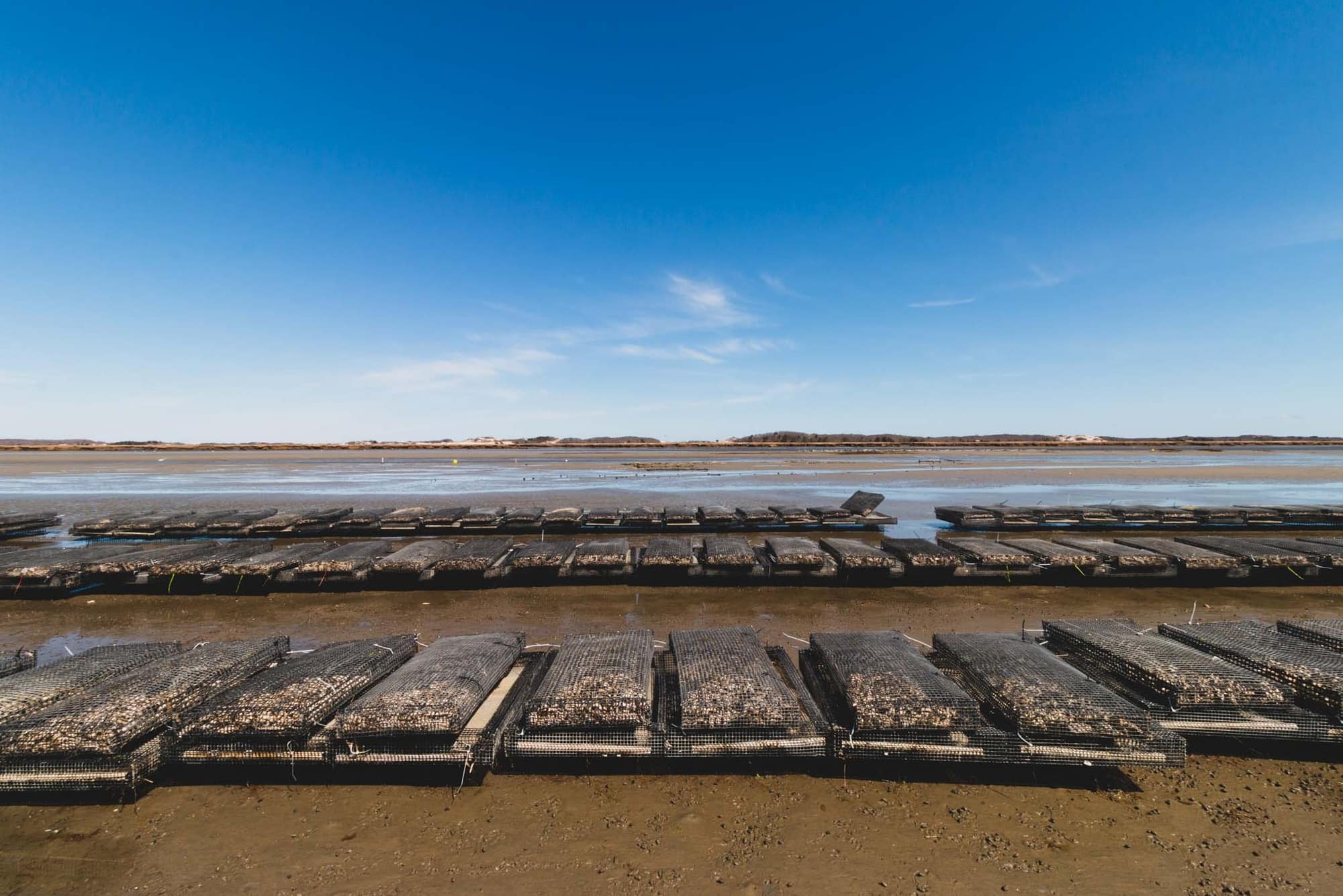 Our Farms | Pangea Shellfish Company