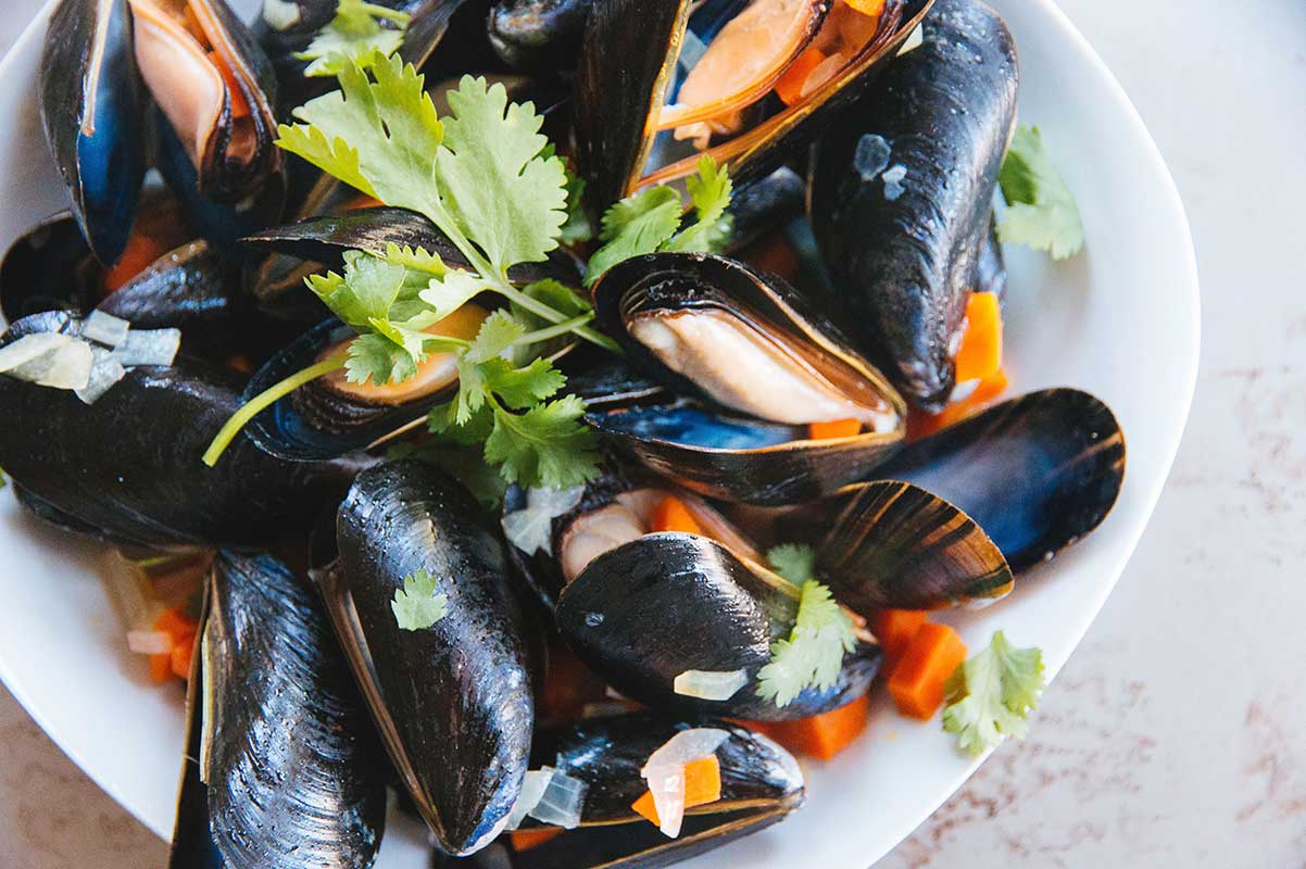 Buy Mussels Wholesale - Dutch-Style & Wild from Maine and PEI