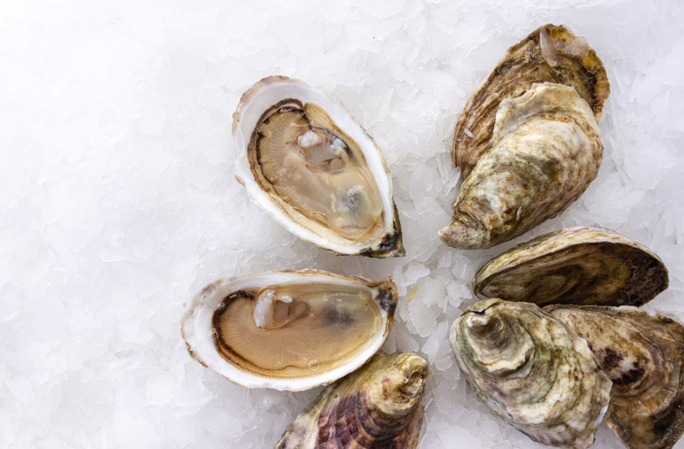 Blish Point Oyster — Oysterology Online | Pangea Shellfish Company
