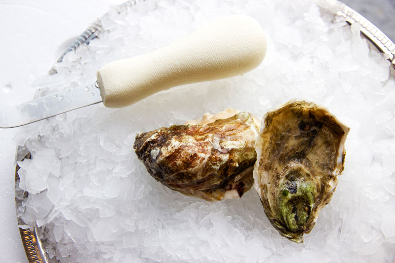 East Beach Blonde Oyster — Oysterology Online | Pangea Shellfish Company