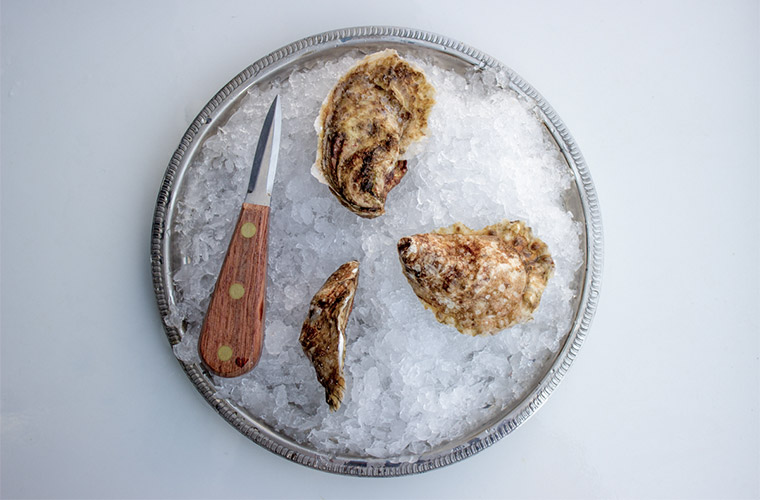 Fiddler's Cove Oyster — Oysterology Online | Pangea Shellfish Company