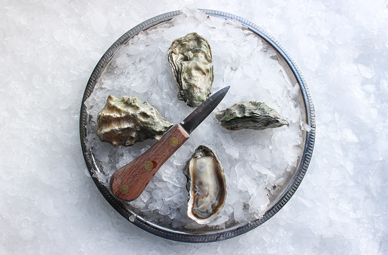 Hood Canal Oyster — Oysterology Online | Pangea Shellfish Company