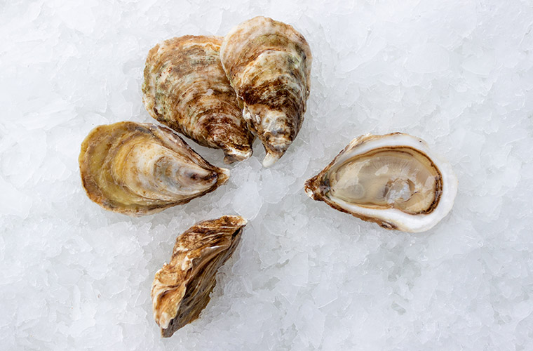 Savage Blonde Oyster — Oysterology Online | Pangea Shellfish Company