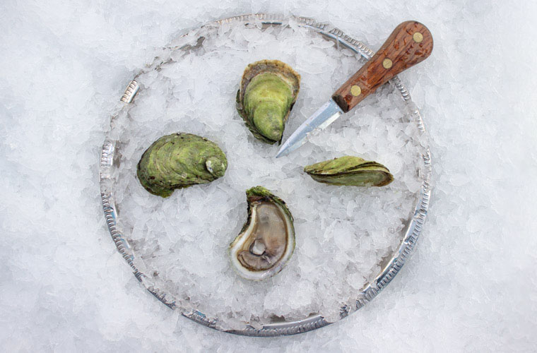 Shipwreck Select Oyster — Oysterology Online | Pangea Shellfish Company