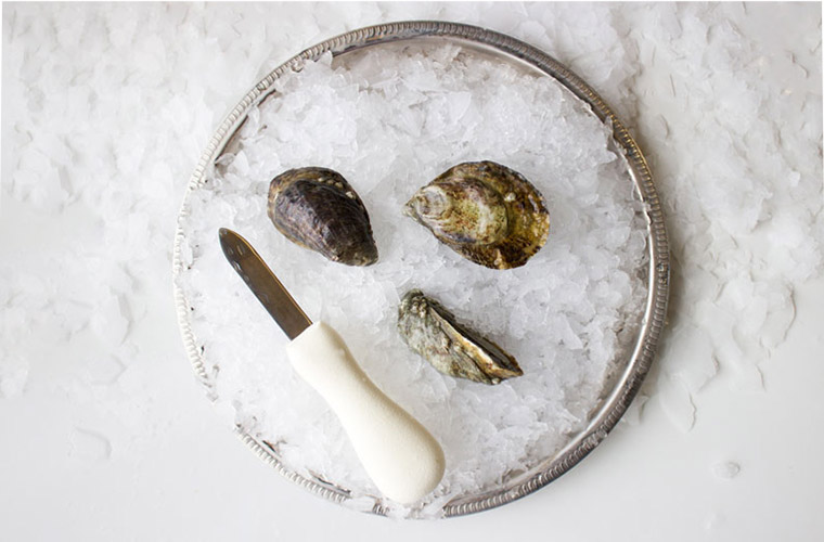 Shigoku Oyster — Oysterology Online | Pangea Shellfish Company