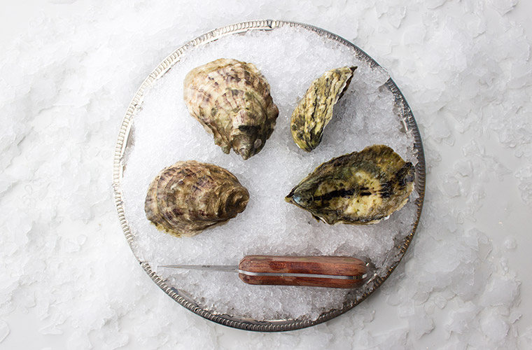 Thatch Island Oyster — Oysterology Online | Pangea Shellfish Company