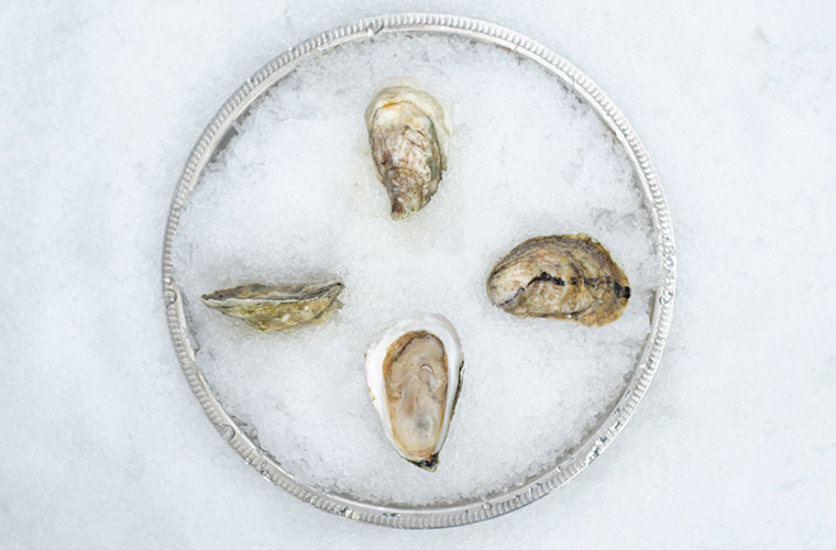 Whitecap Oyster — Oysterology Online | Pangea Shellfish Company