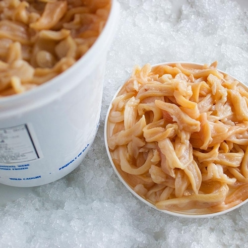 Hard Shell Clams — Products | Pangea Shellfish Company