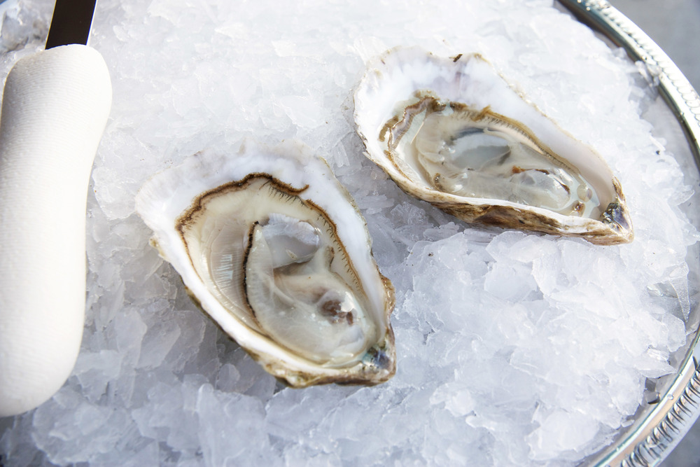 Oyster of the Week: November 18, 2013 | Pangea Shellfish Company