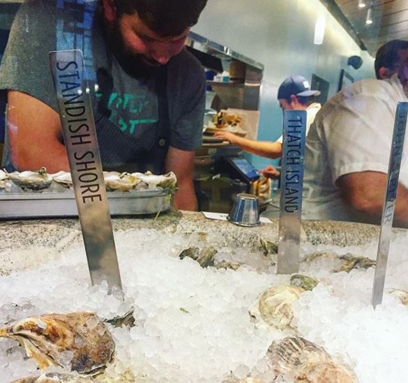 Our Curriculum For Oyster Training | Pangea Shellfish Company