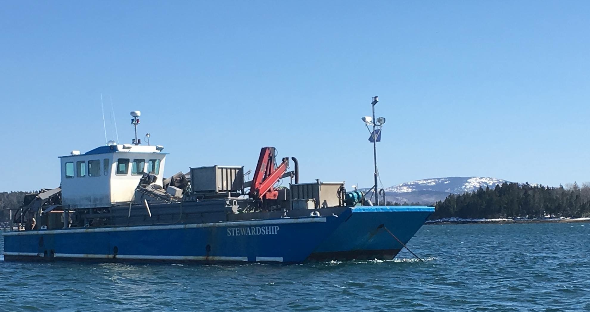 Mussel Flexing: Hollander and de Köning | Pangea Shellfish Company