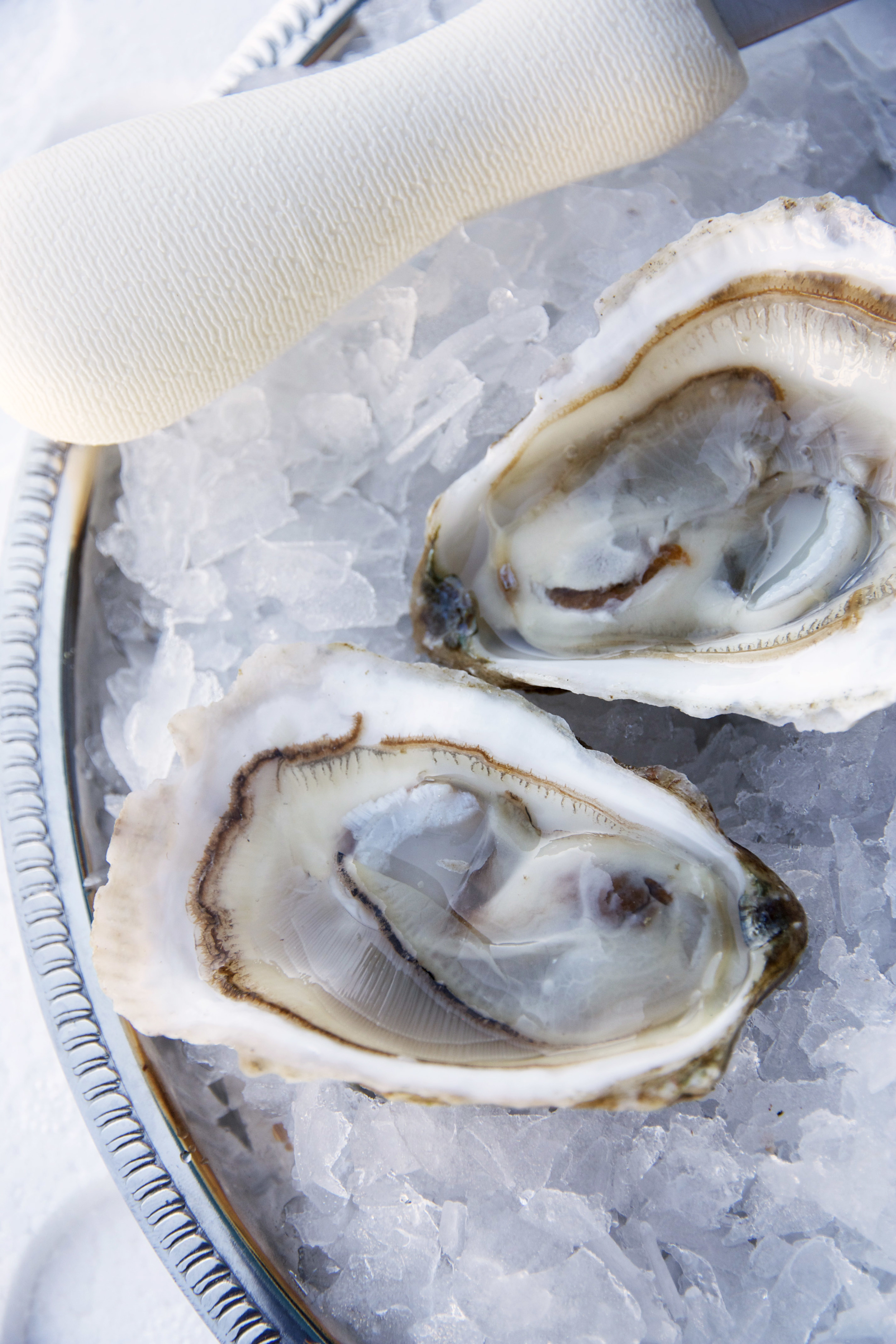 Oyster of the Week: November 18, 2013 | Pangea Shellfish Company