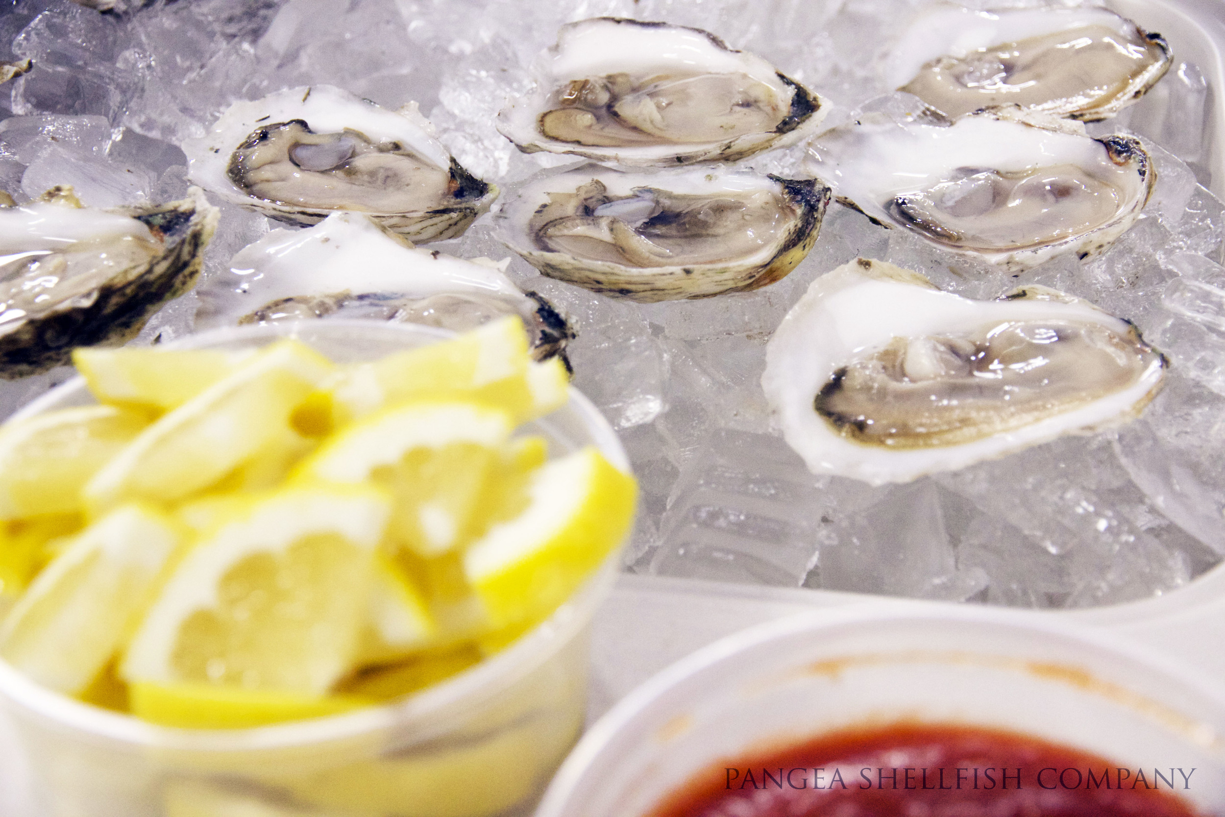 A Fair of Seafood Fare at Earth & Sea Fish Market | Pangea Shellfish ...