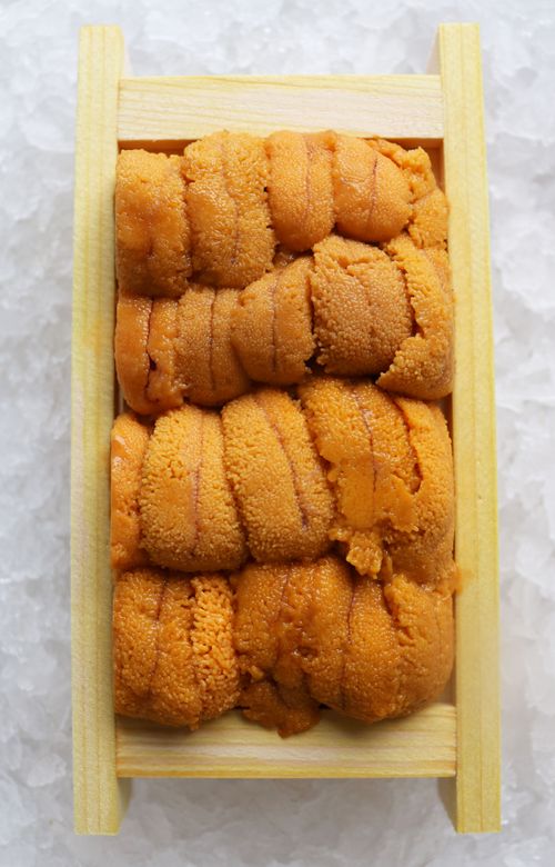 Steamer Clams — Products | Pangea Shellfish Company