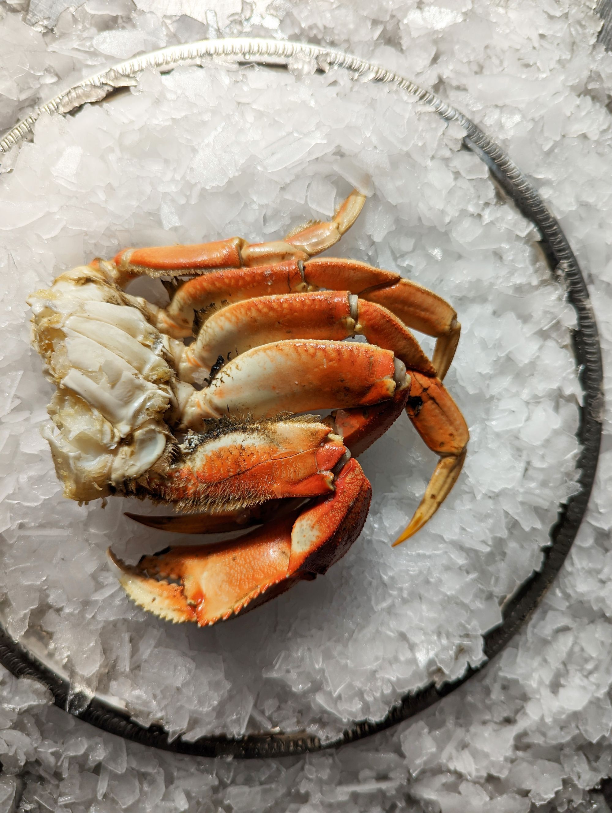Triple Score Claws — Products | Pangea Shellfish Company
