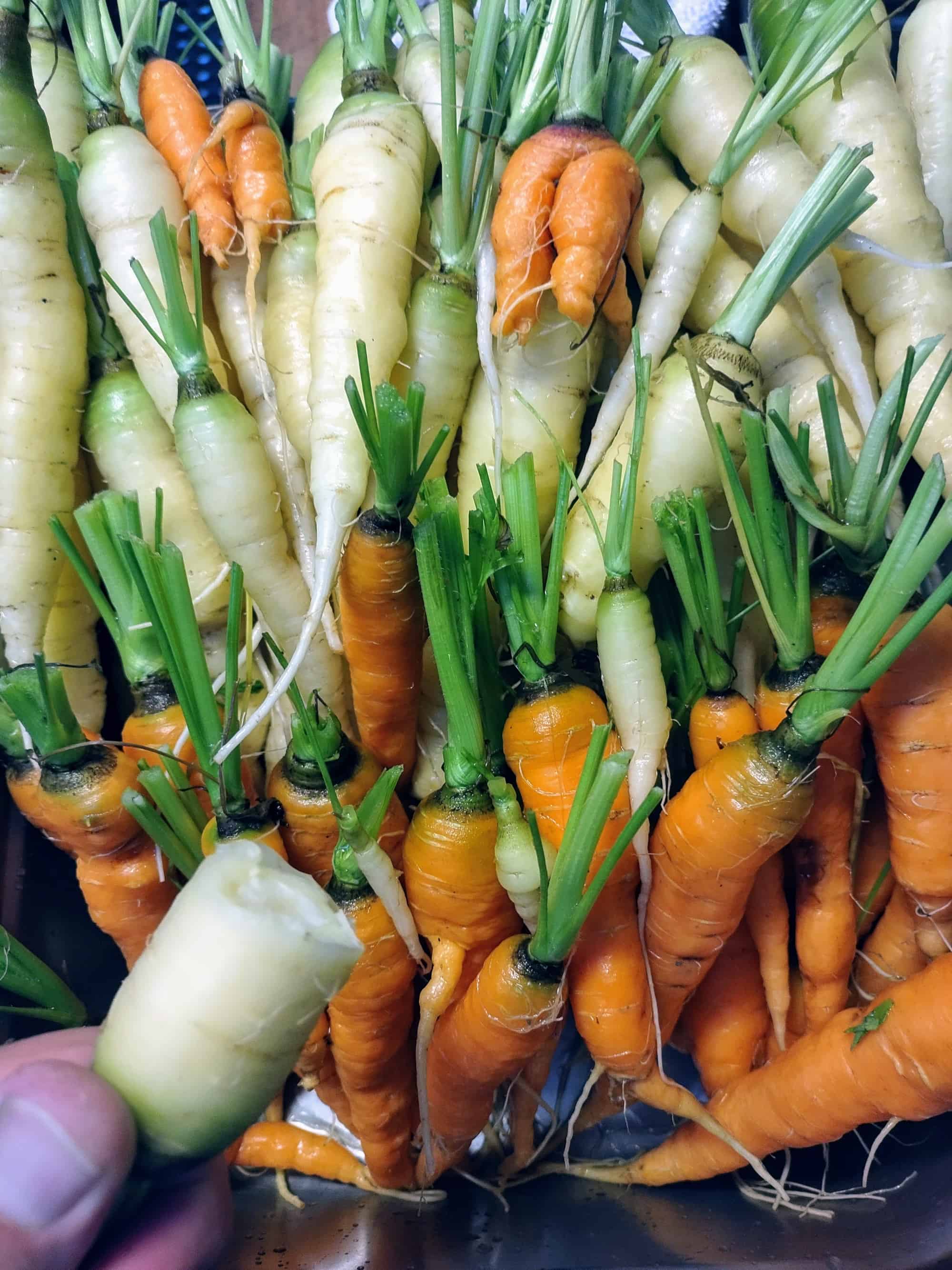 Comida KIN Food Truck