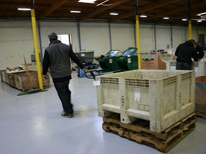 Avoid Back Injuries With These Workplace Safety Tips