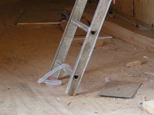 Extension Ladder Safety Precautions to Keep Workers Safe