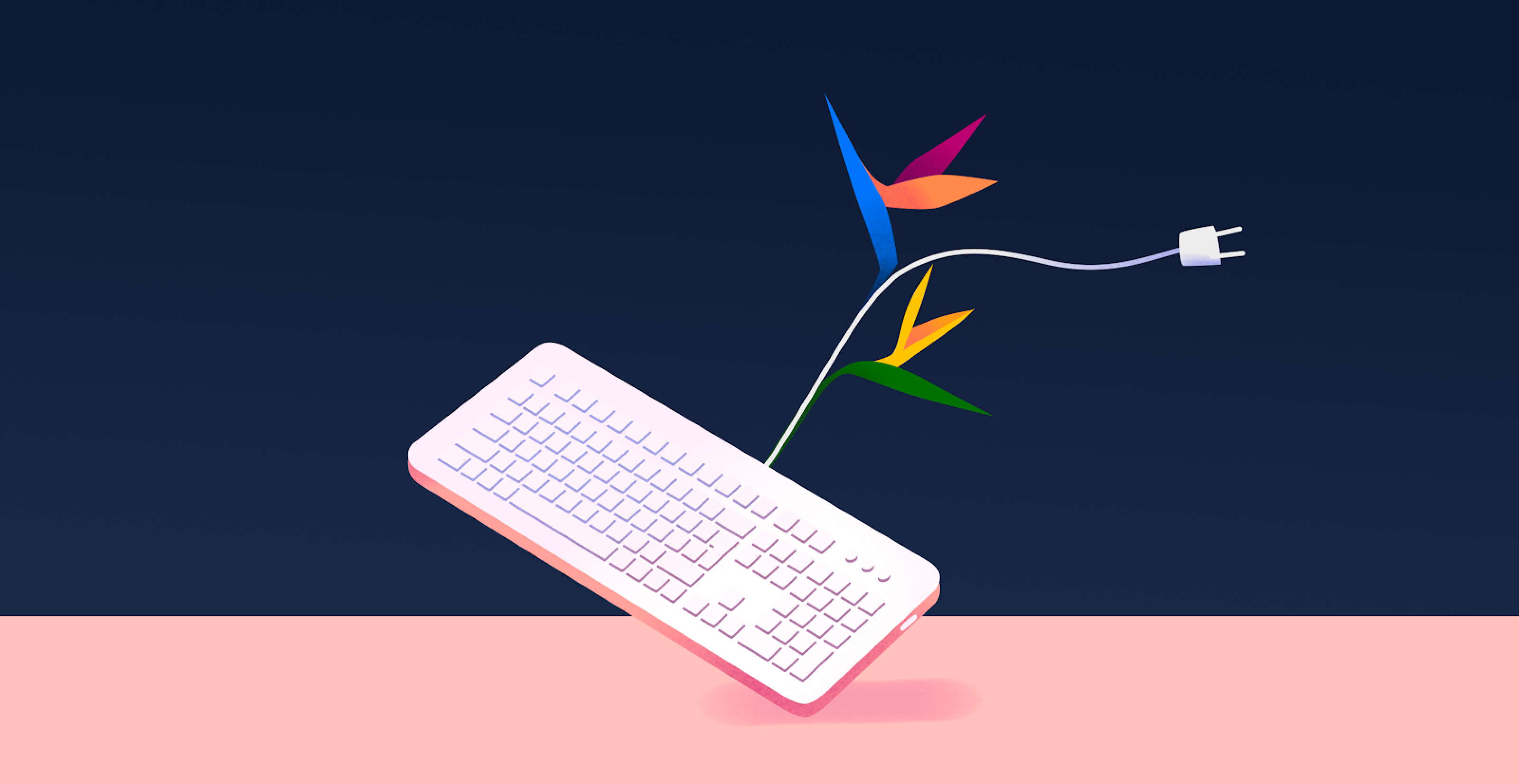 Technical Task for Your Website. Who Should Do It and Why