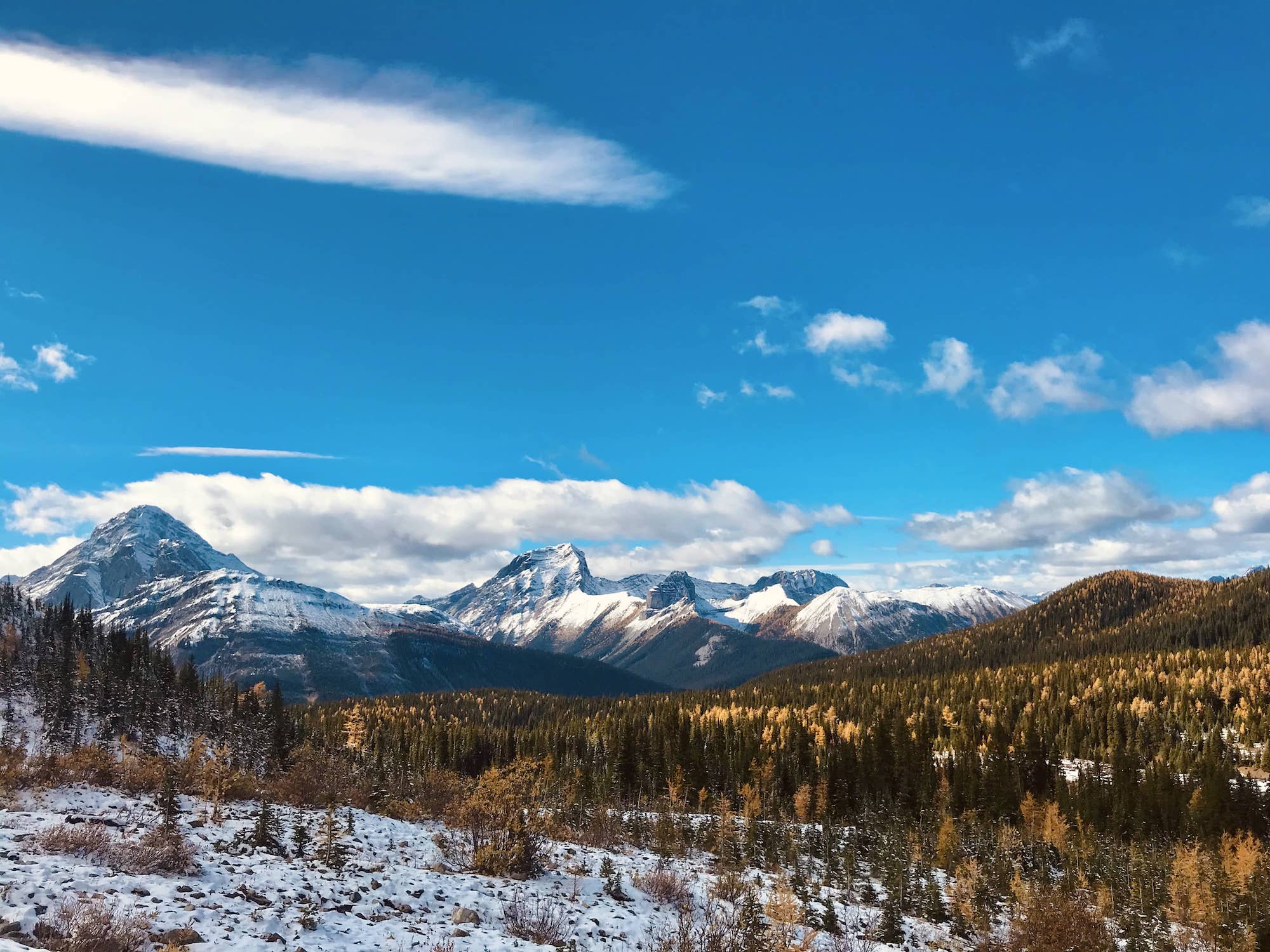 5 Must-Try Summer Hikes Around the Bow Valley | Basecamp Resorts