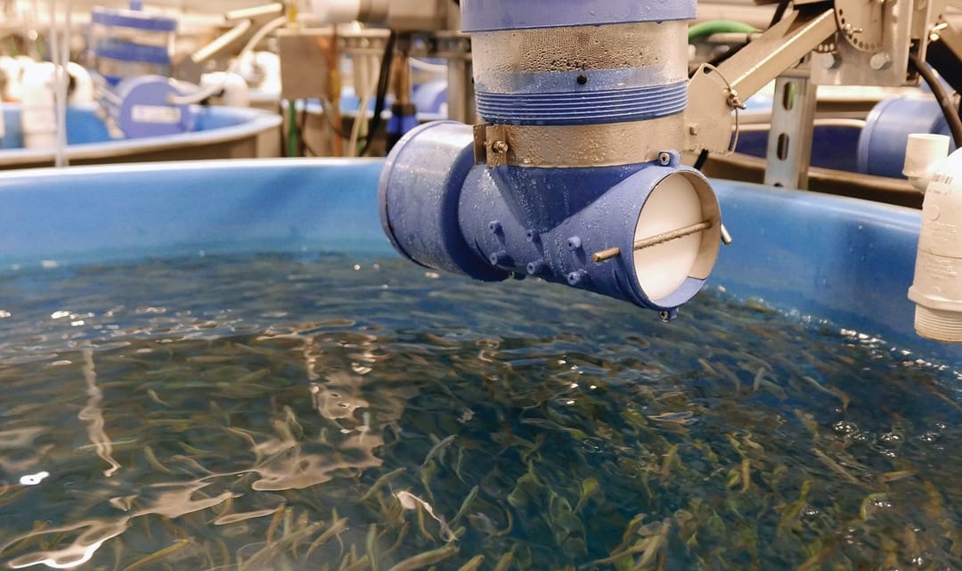 Aquatic Equipment Supply & Integrated Systems | IAS, Inc.